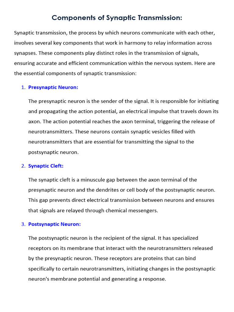 Components of Synaptic Transmission | PDF | Chemical Synapse | Synapse