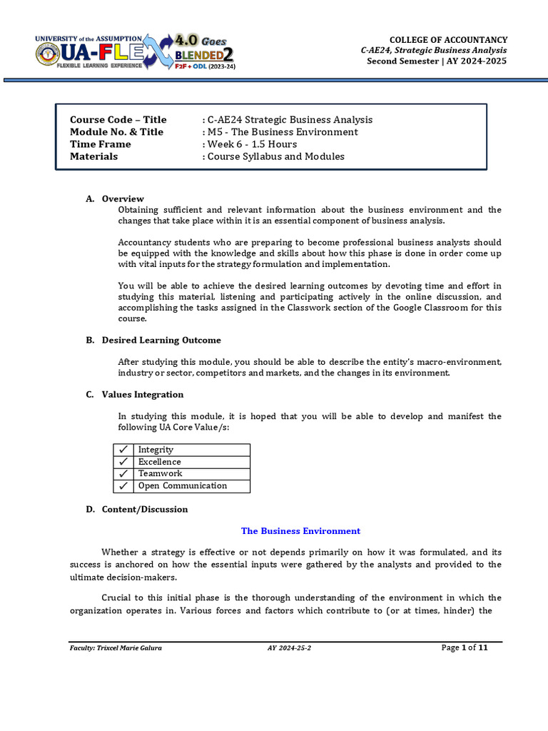 Strategic Business Analysis Overview | PDF | Business Cycle | Economics