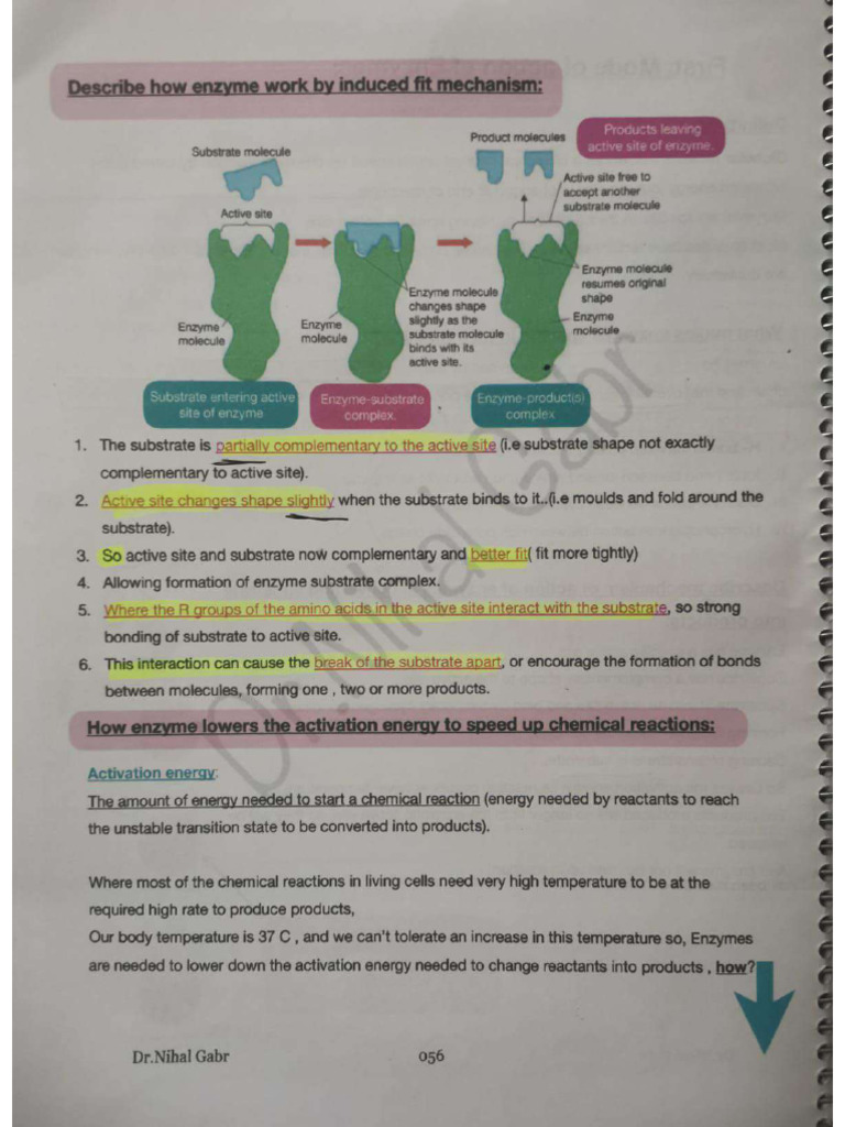 structure of enzymes and their mechanism | PDF