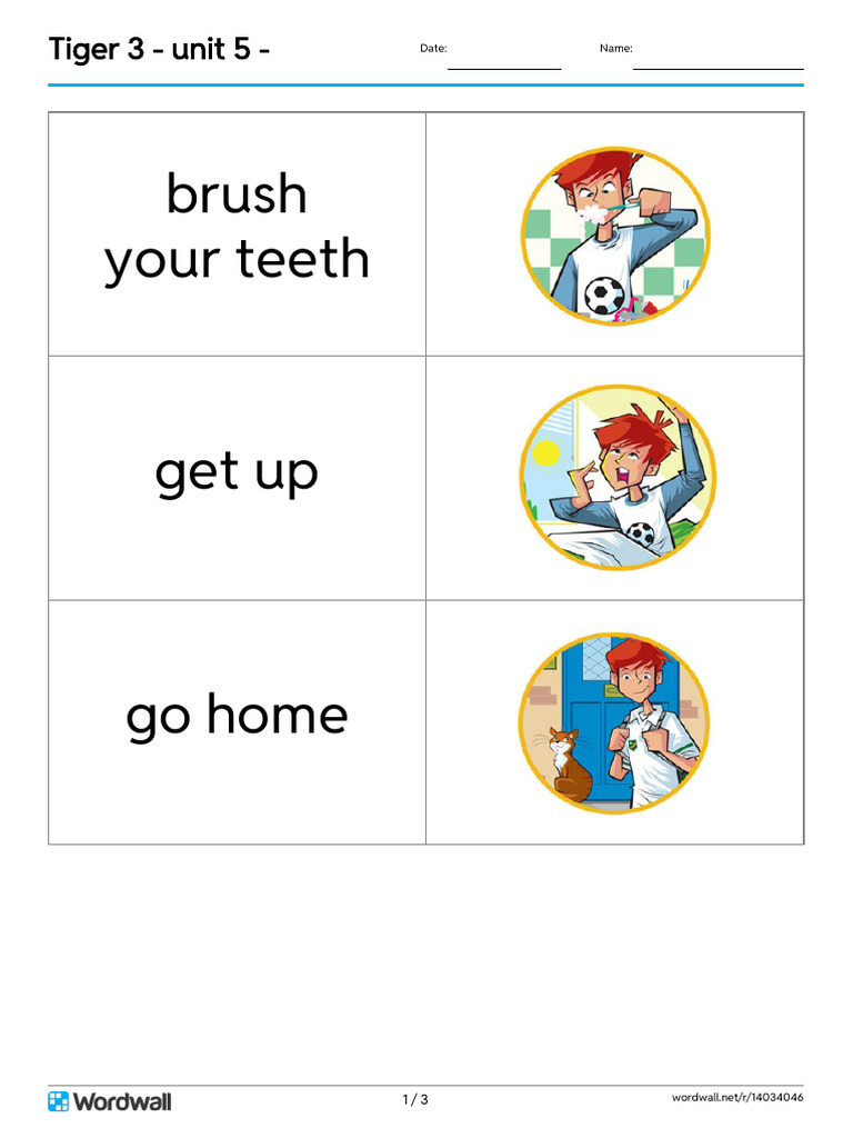 Tiger 3 Unit 5 Flash Cards | PDF