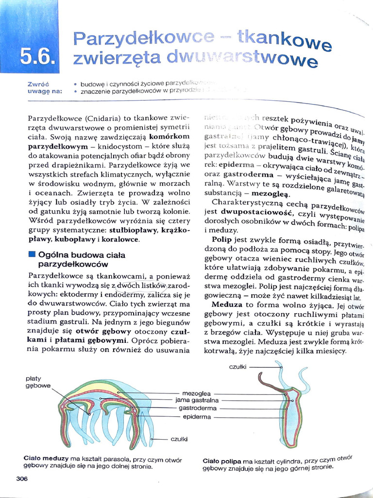 Book 4 Mar 2025 | PDF