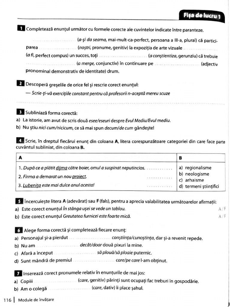 Fise Pe Module Corect-Greșit | PDF