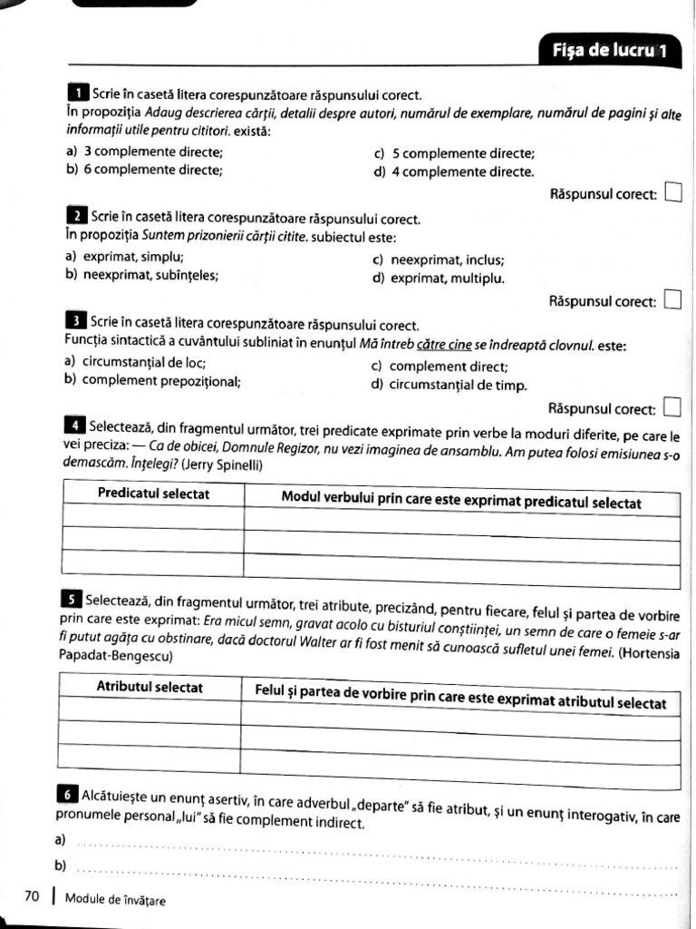 Fise Pe Module Fs | PDF