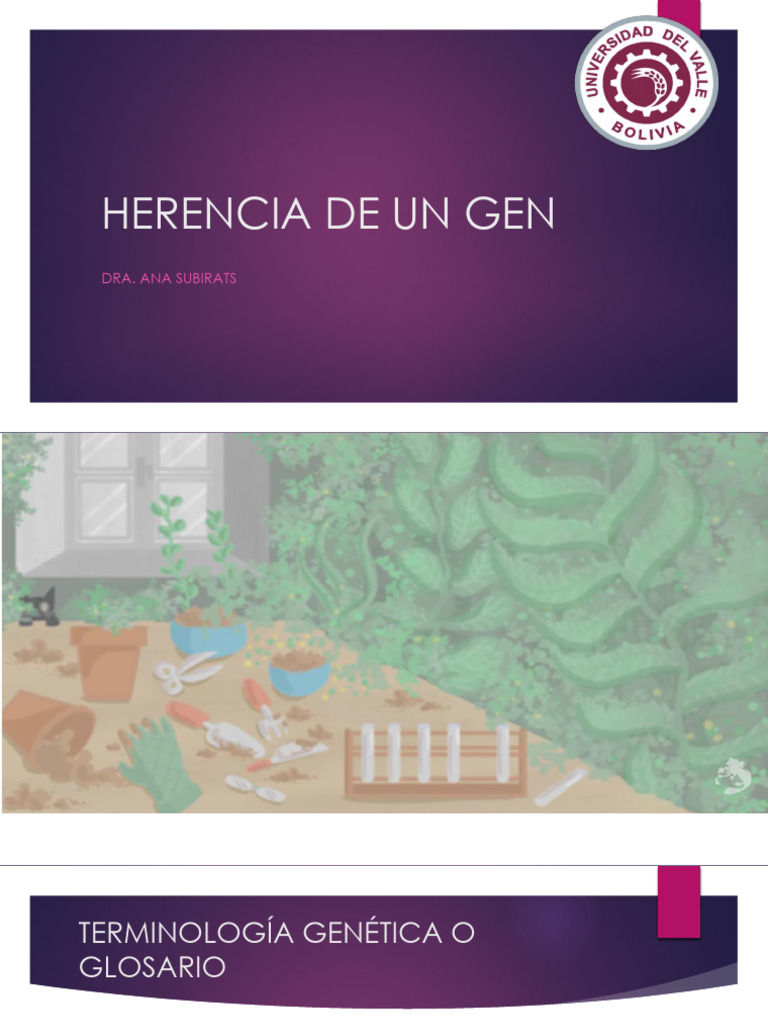 Genética y Herencia Mendeliana | PDF | Dominancia (Genética) | Alelo