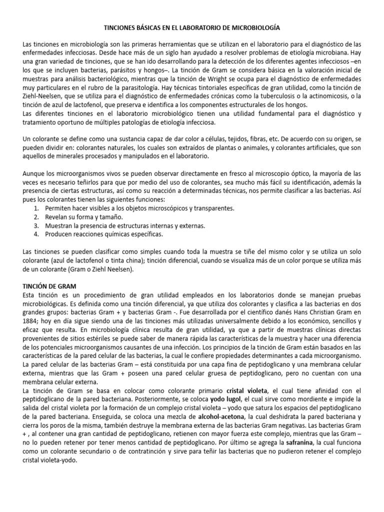Tinciones B-sicas en El Laboratorio de Microbiolog-A.docx | PDF | Tinción | Las bacterias