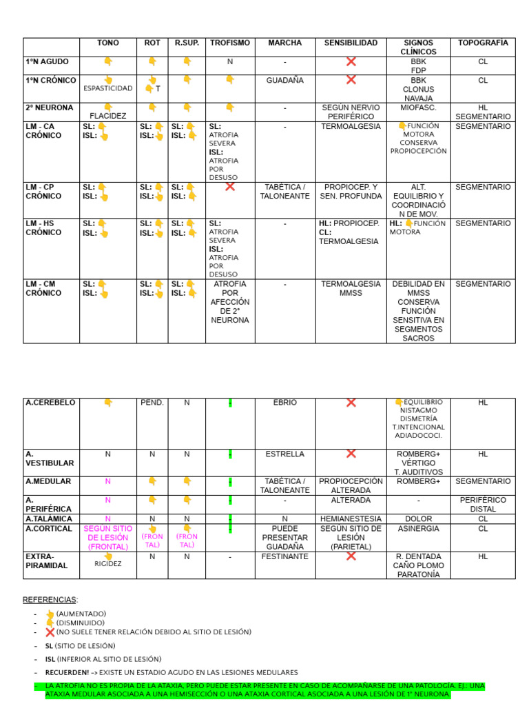 Tutoría Cuadro Integrador | PDF | Neuroanatomía | Neurología