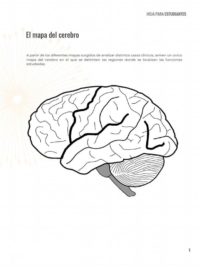 El Mapa Del Cerebro | PDF
