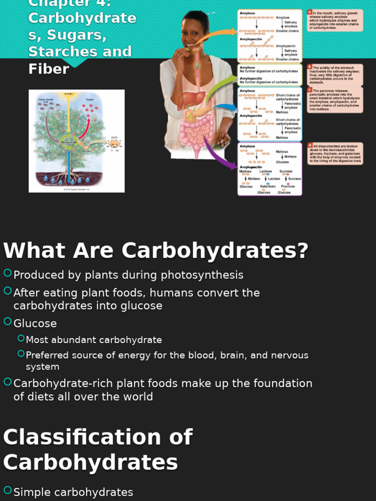 Biomolecule Carbohydrates | PDF | Dietary Fiber | Diet & Nutrition