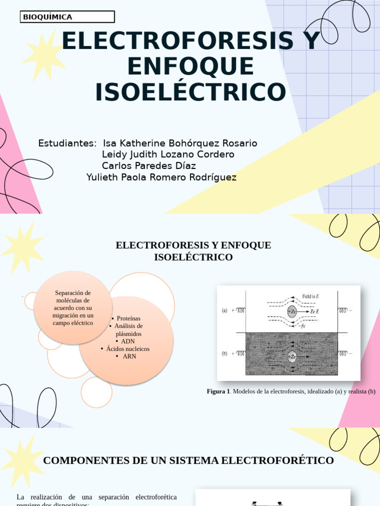 Electroforesis Actual. | PDF | Electroforesis | Biología Molecular