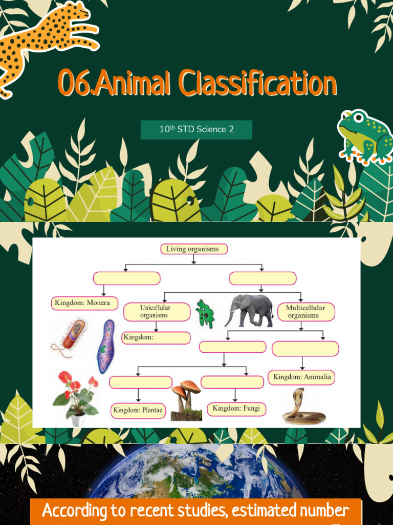 6.animal Classification 45bea287 9310 4bc2 9cac 737862b2b15c | PDF ...