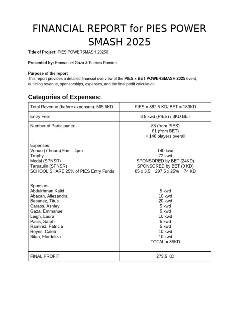 Financial Report Sample | PDF