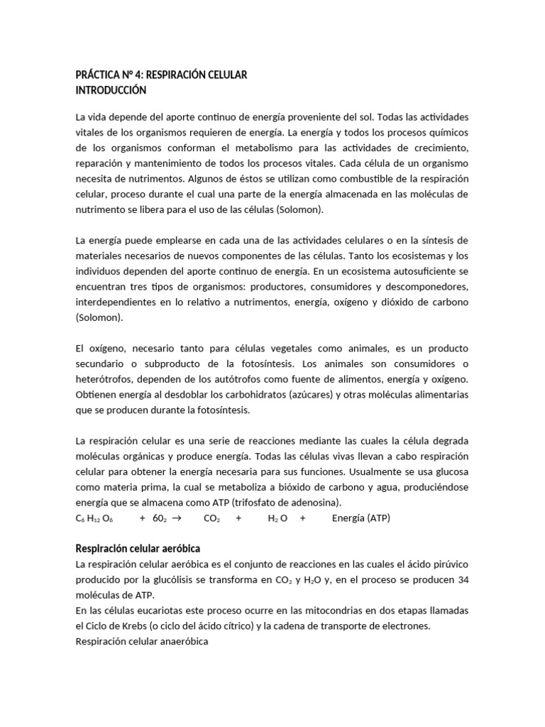 PRÃ CTICA N4 Respiracion Celular | PDF | Fermentación | Respiración celular