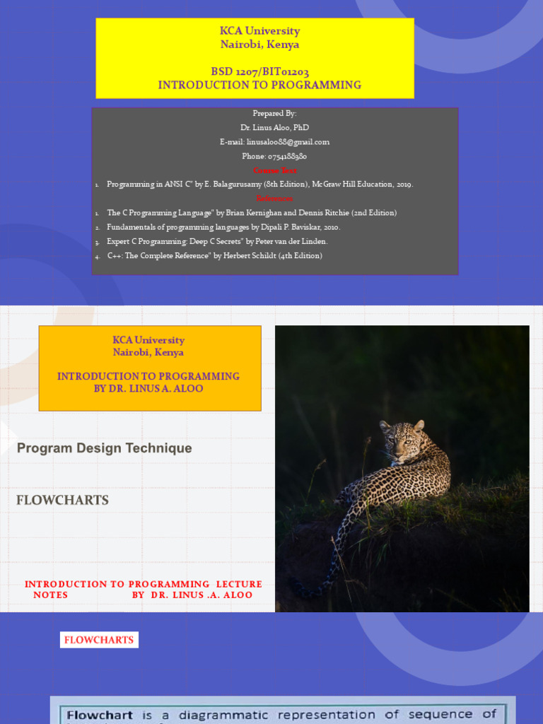 Lecture 3 - INTROD TO PROG - FLOWCHARTS | PDF | Software Engineering | Computer Science