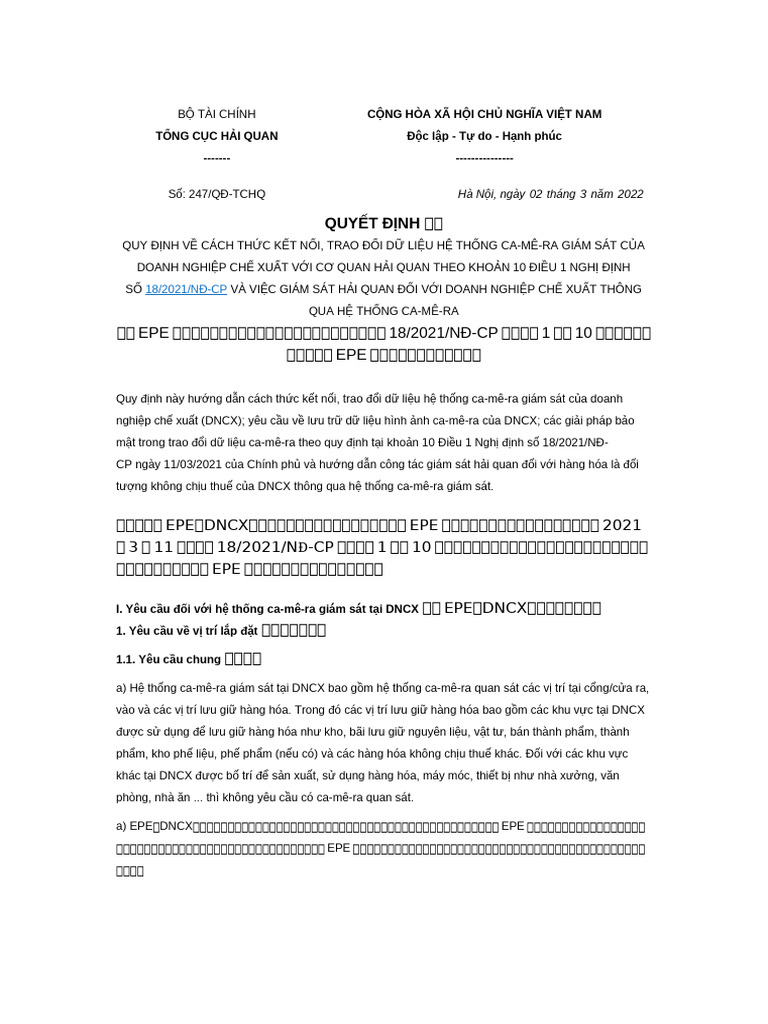 Epe Camera System Vietnam Customs Regulation | PDF