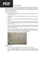 Elephant GI Anatomy & Physiology | PDF | Gastrointestinal Tract | Digestion