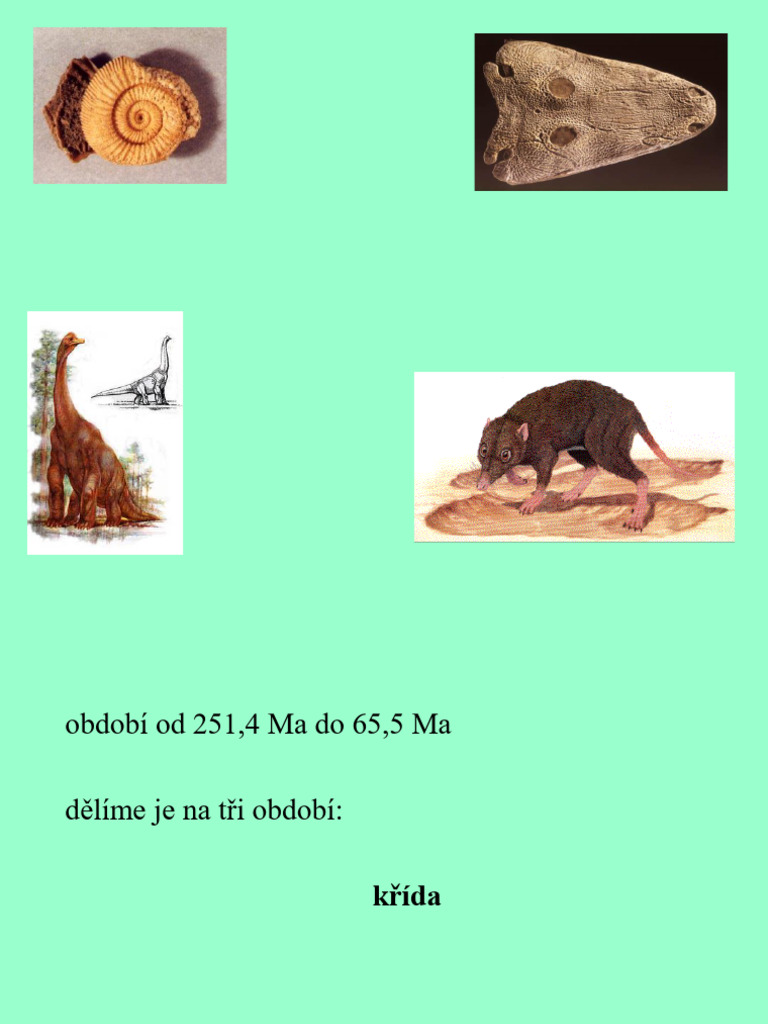 Druhohory | PDF