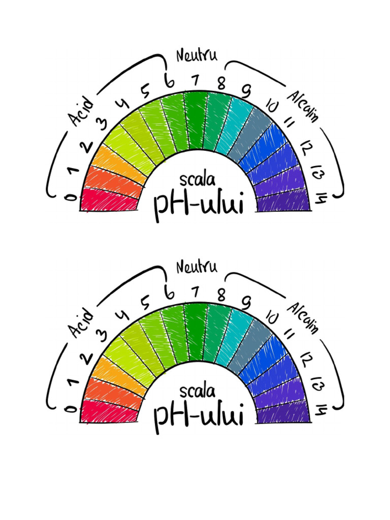 P H | PDF