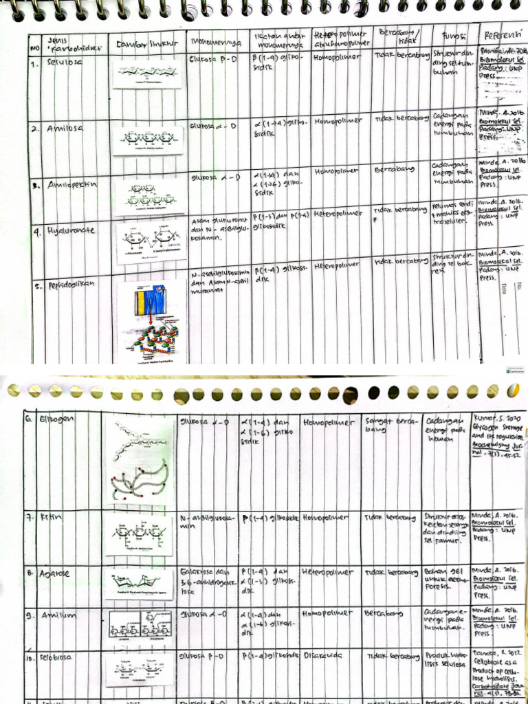 Tugas 3 Biokim Diva | PDF