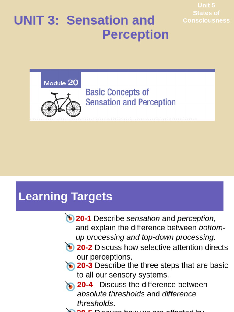 Basic Concepts of Sensation and Perception Powerpoint | PDF | Senses ...