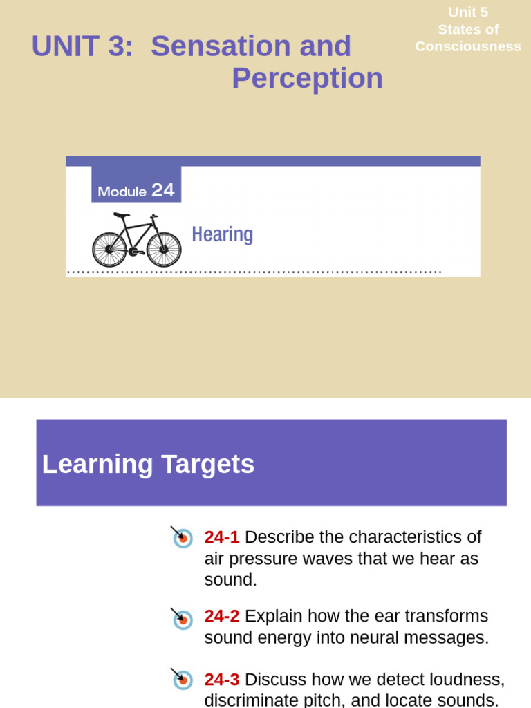 Hearing Ear Powerpoint | PDF | Hearing | Auditory System