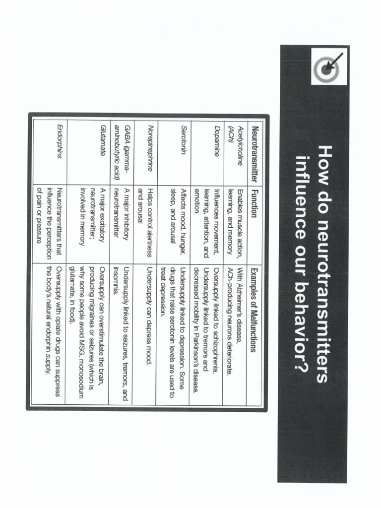 Neurotransmitter Chart | PDF