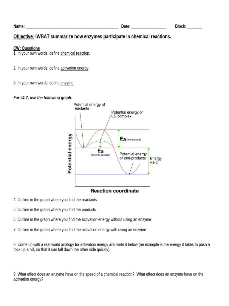Enzyme-Worksheet With Homework | PDF | Enzyme | Active Site