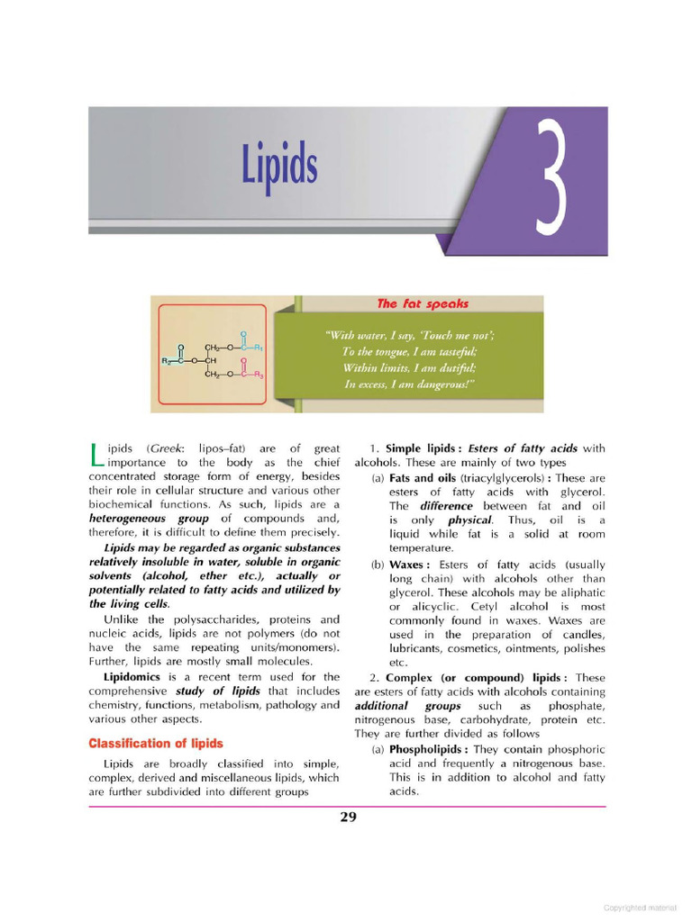 Lipids | PDF