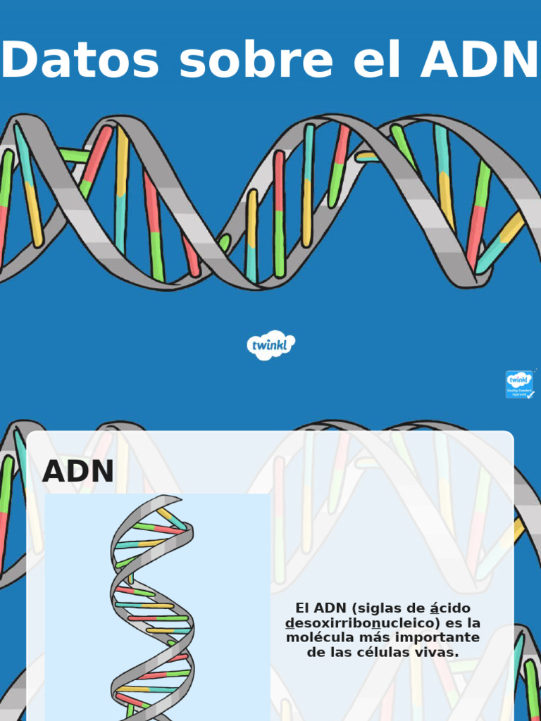 Presentacion Datos Sobre El Adn - Ver - 1 | PDF | Adn | James Watson