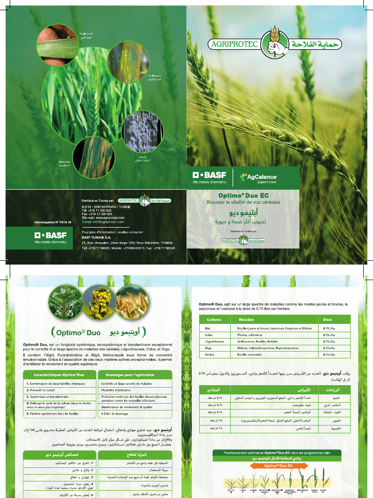 Depliant-OptimaDuo-A3 (1) - Compressed - Compressed | PDF