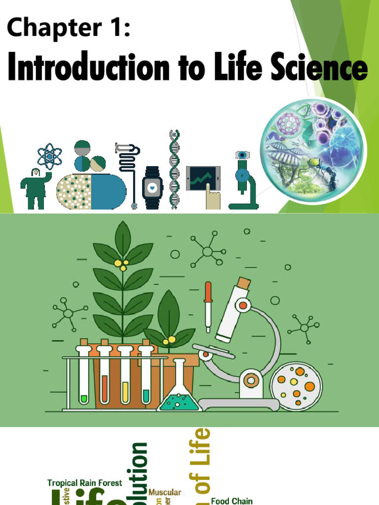 1 Concept of Life and Theories On The Origin of Life | PDF | Life ...