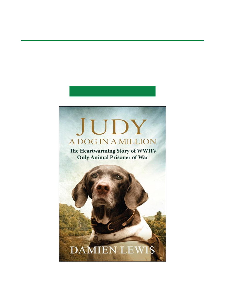 Fan Favorite Judy A Dog in A Million From Runaway Puppy To The World's ...