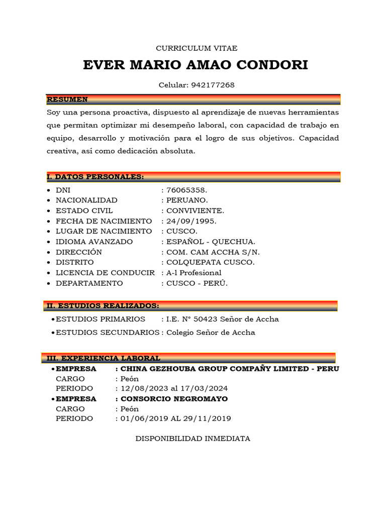 Curriculum Vitae de Ever Mario Amao Condor 2025 | PDF