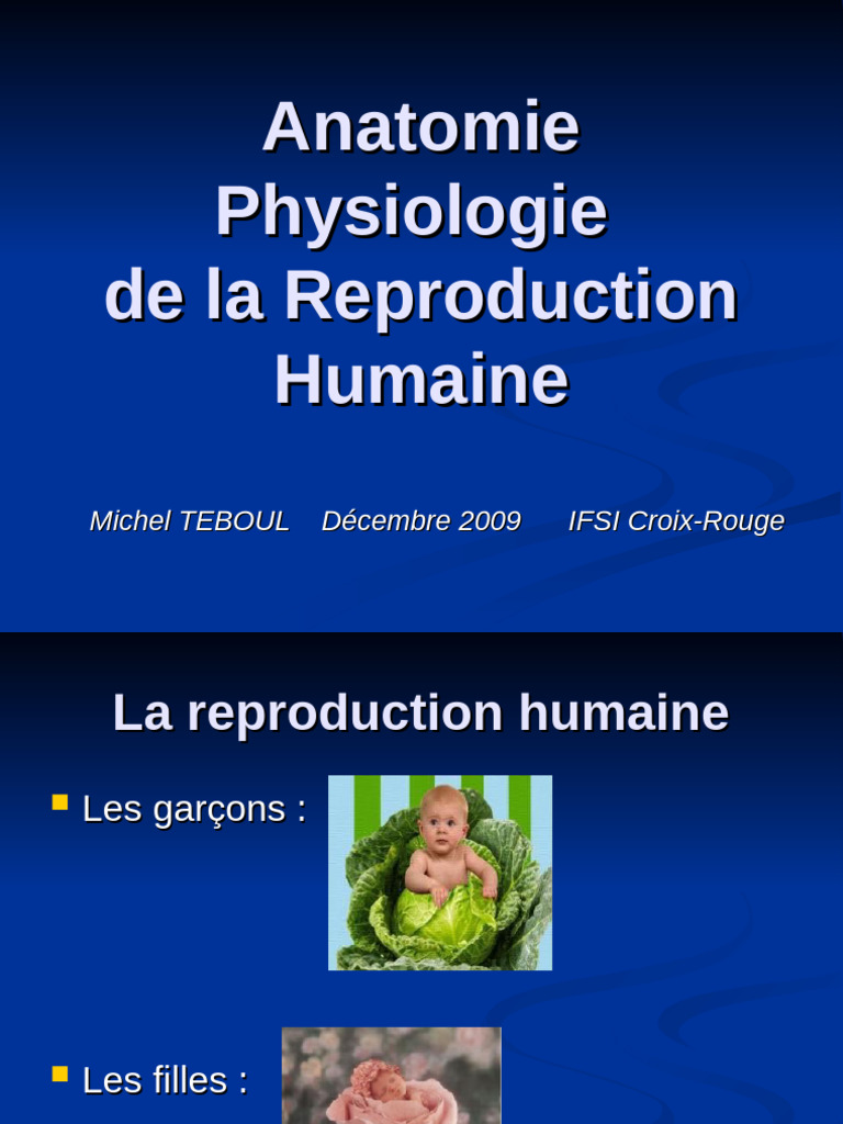An a Tomie Physio Logie Reproduction | PDF