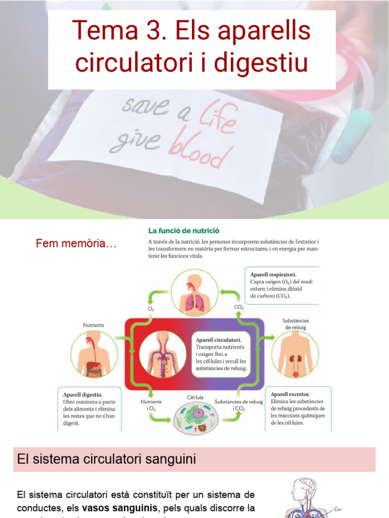 Aparell Circulatori I Digestiu - 24-25 | PDF