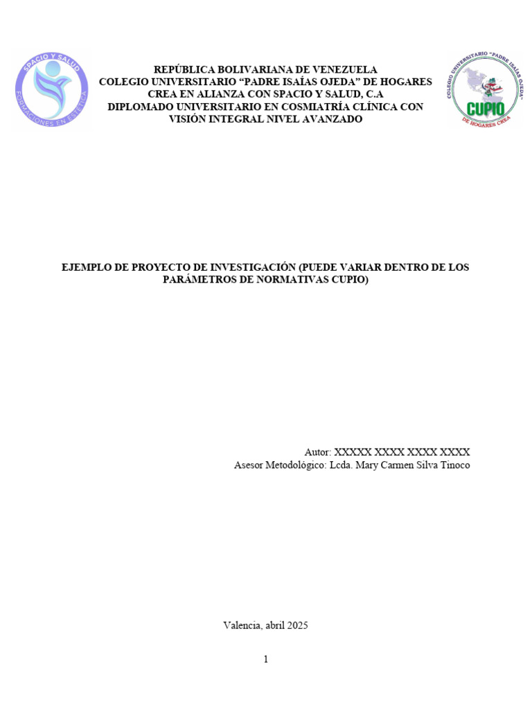 Ejemplo Proyecto | PDF