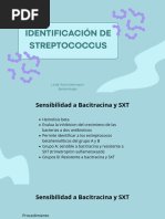 Optoquina | PDF | Estreptococo | Microbiología