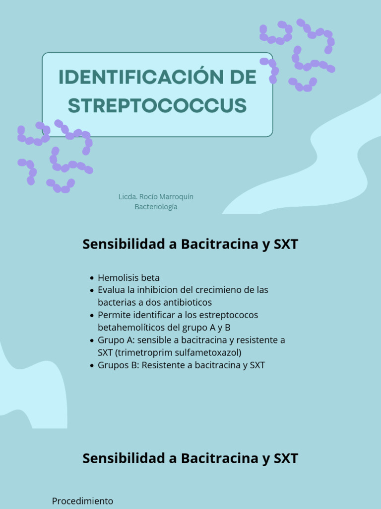Documento de Ayuda Parar La Identificación de Streptococcus | PDF | Estreptococo ...