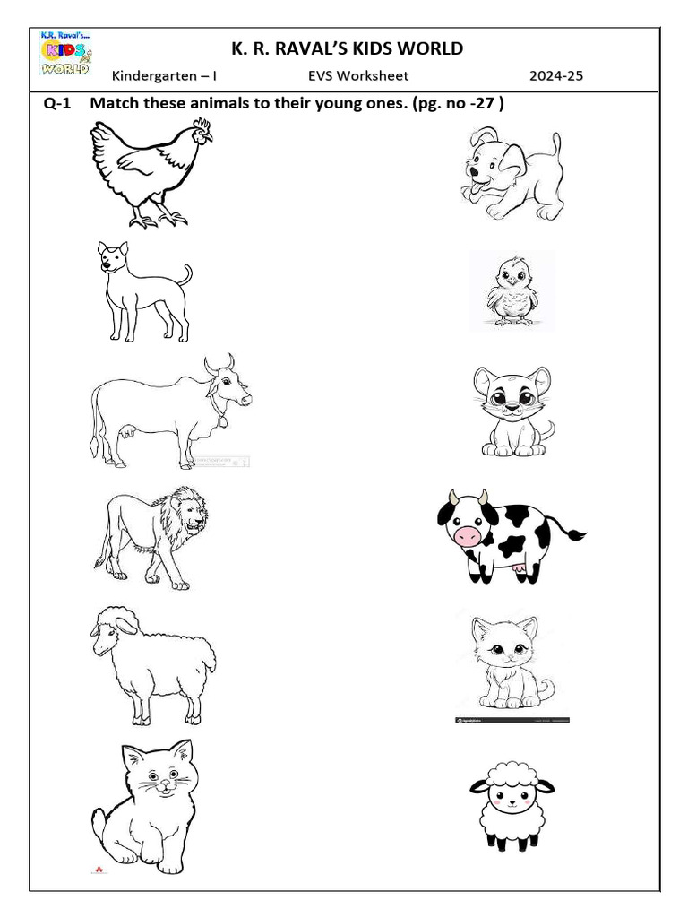 JR G.K Worksheet | PDF