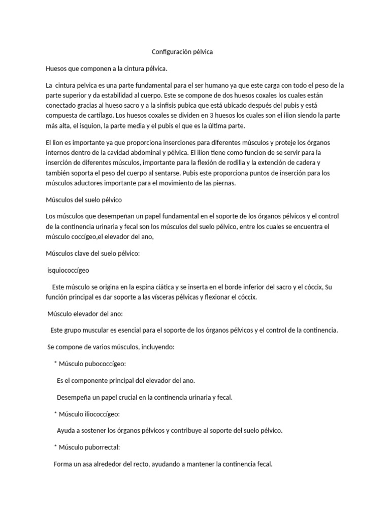 Contura Pélvica | PDF | Vena | Pelvis