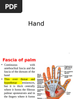 Palmar Hand Anatomy Overview | PDF | Hand | Musculoskeletal System