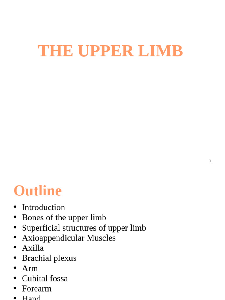 Upper Limb Lecture 1 | PDF | Arm | Skeletal System