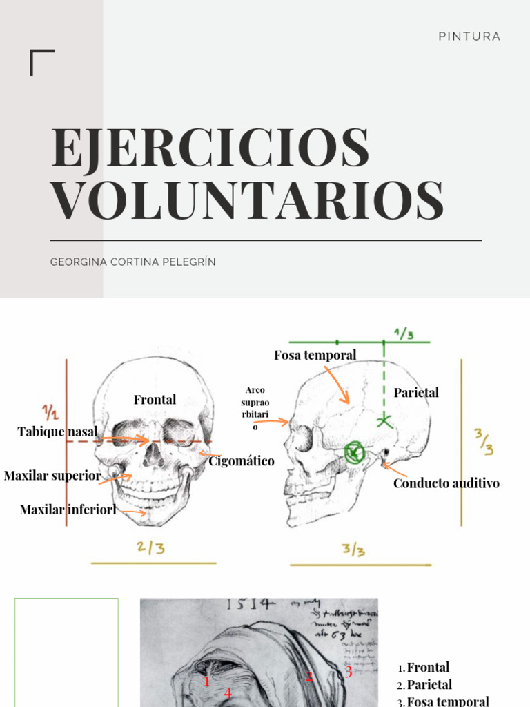 Ejercicios Voluntarios GCP | PDF