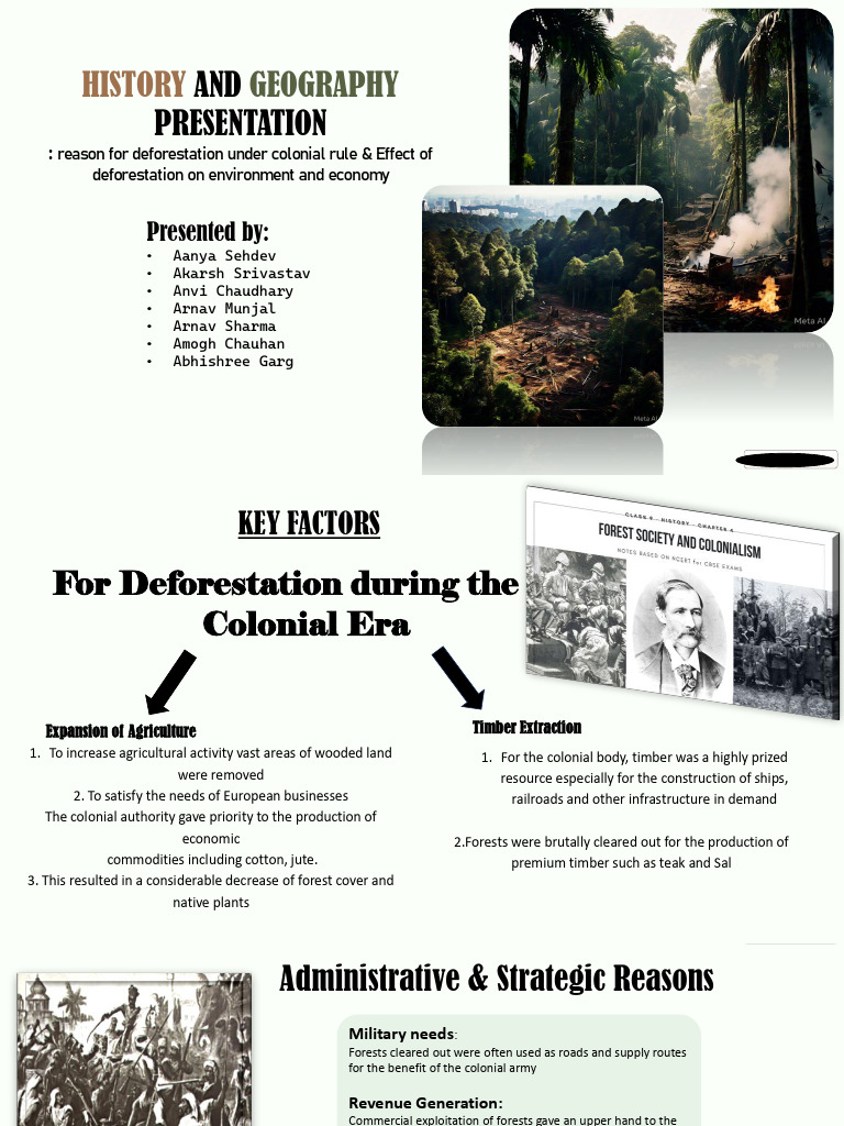 The Impact of Colonialism On Deforestation | PDF | Deforestation ...