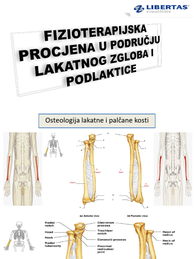 6. Procjena - LAKAT I PODLAKTICA | PDF