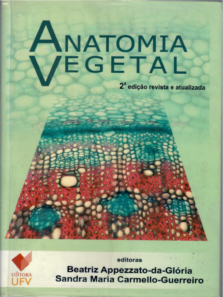 Sistema Fundamental - Anatomia Vegetal - Appezzato Da Glria Carmello ...