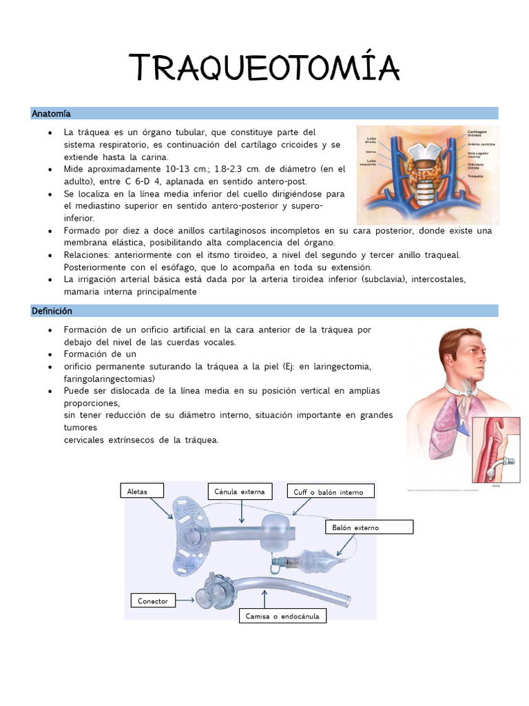 CIRUGÍA Traqueotomía | PDF | Tiroides | Laringe
