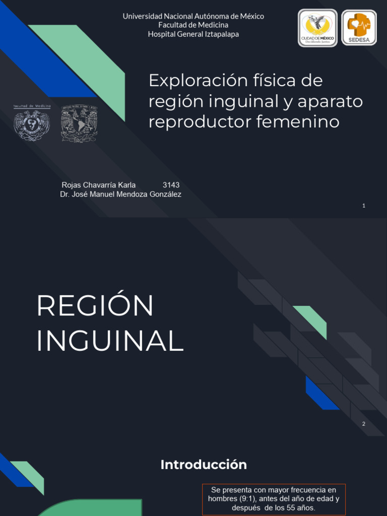 Exploración Inguinal y Reproductor Femenino | PDF | Vagina | Labios