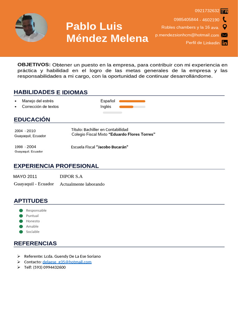 Curriculum Pablo Luis | PDF