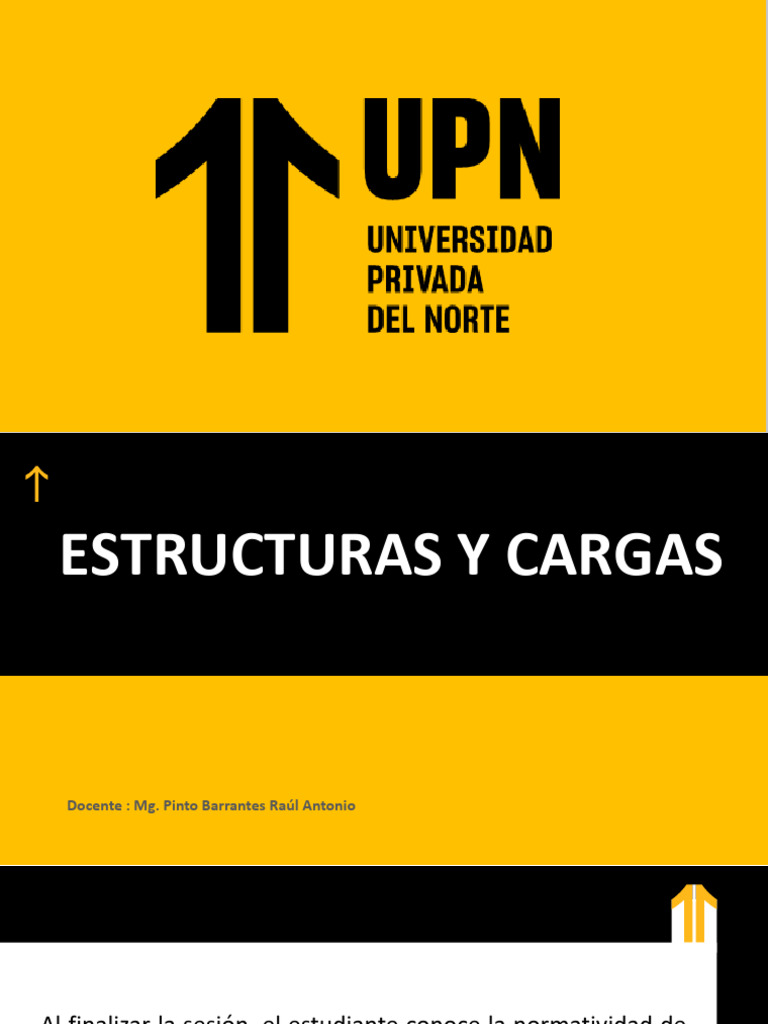Sesion 02 - Cargas Estructurales | PDF | Fuerza | Herida