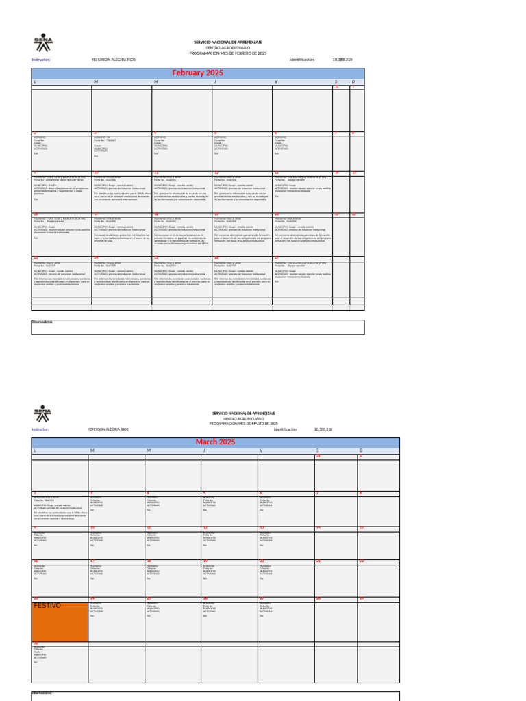PROGRAMADOR 2025 (1) | PDF
